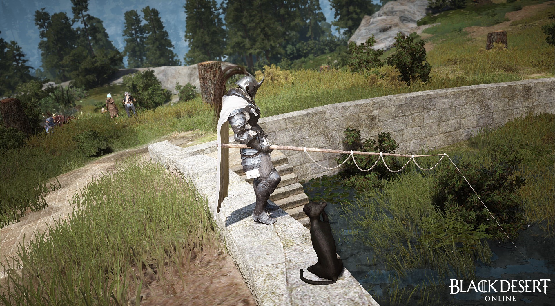 Black Desert Online Review - digitalchumps