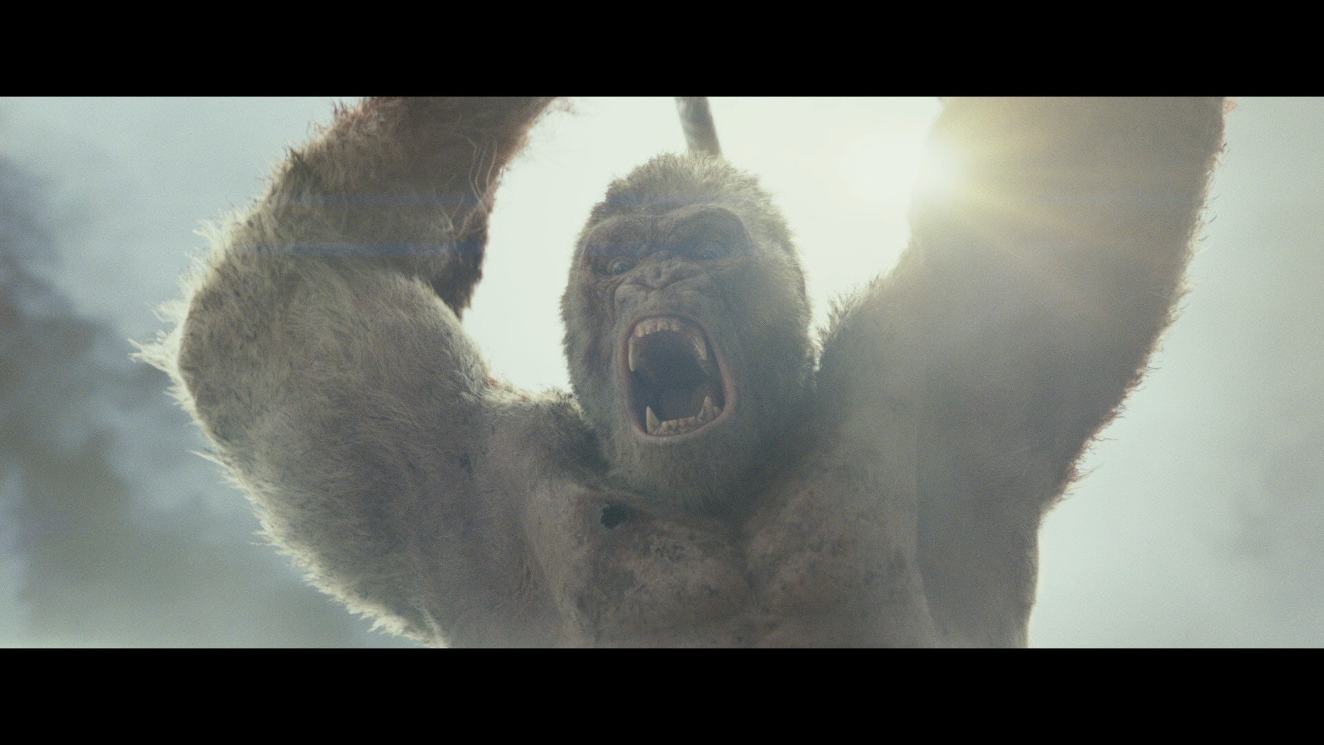 Rampage (4k Ultra HD + Blu-Ray) - digitalchumps